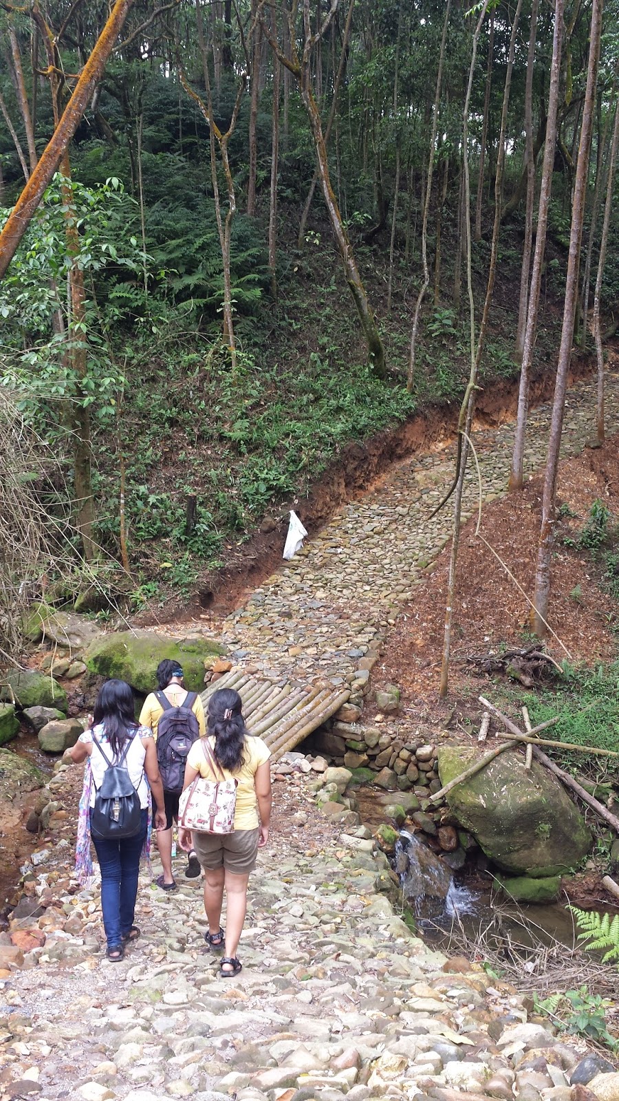 Curug Muara Herang dan Curug Ciparai - Untold Story